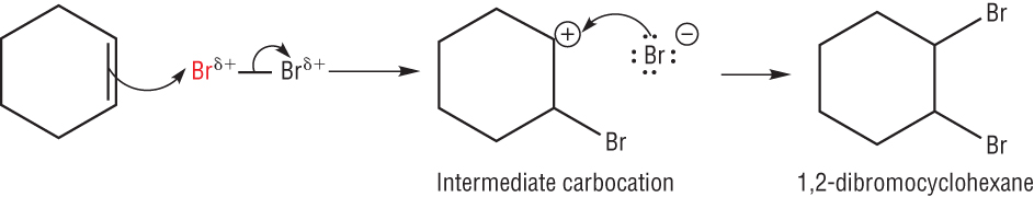 Cyclohexene Br2 Intermediate
